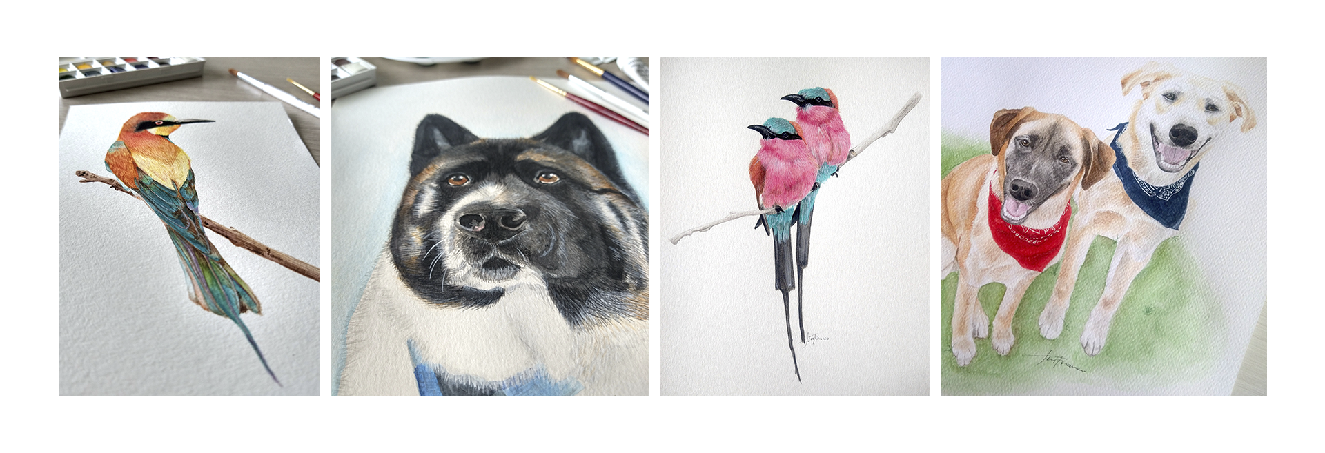 RETRATOS DE ANIMALES – DE MI PUÑO ARTE